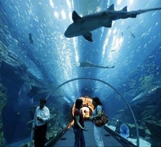 Compre Ingresso para Aquario de São Paulo - 1 dia - Seus Ingressos