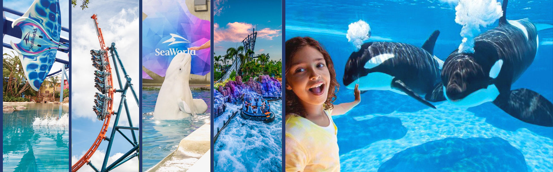 Compre agora ingressos de Sea World para sua diversão! - Seus Ingressos ...